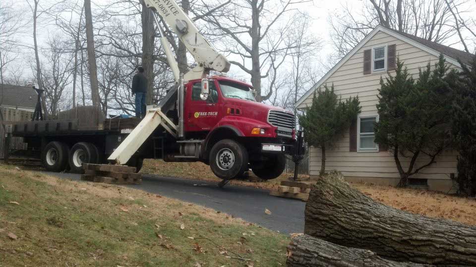 Tree Care Service and Lawn Care in New Jersey - TREE-TECH, Inc.